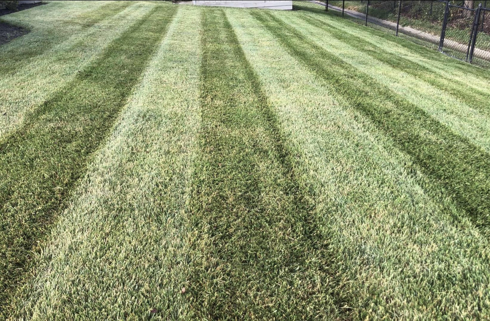 Services – Lawncare